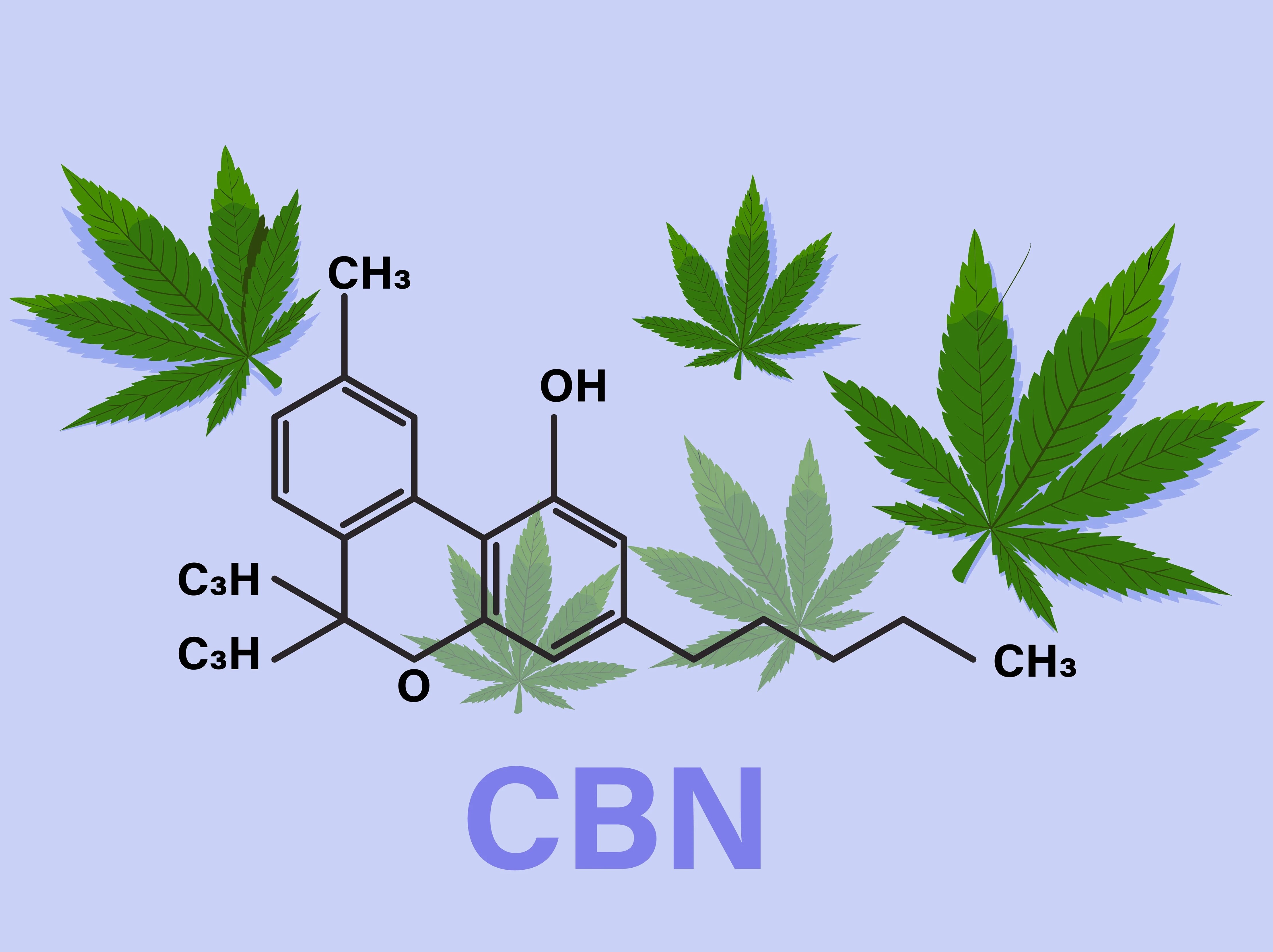 CBN - що це, користь і відмінність від CBD і ТГК ️ Magic Seed